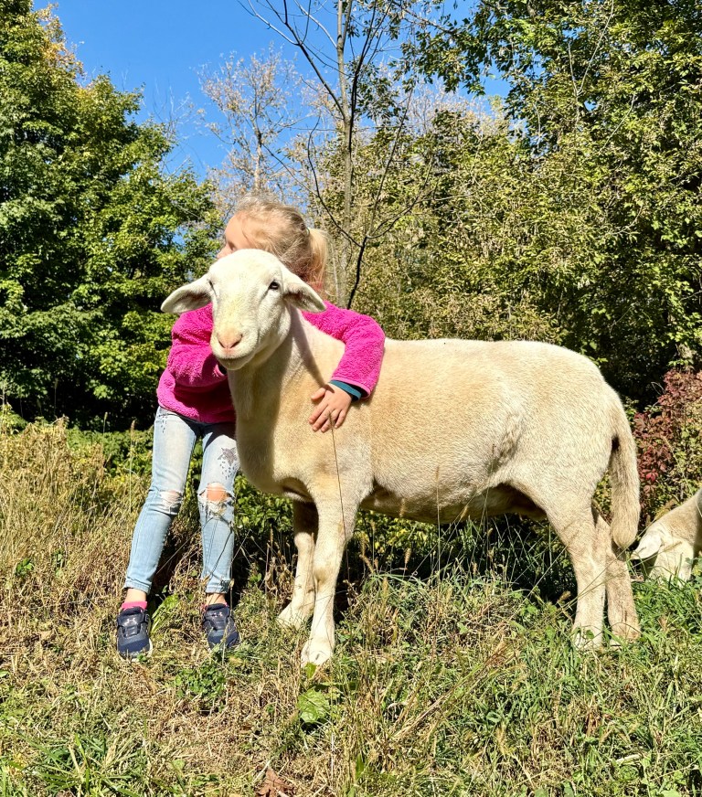 Surrender – The Narrow Way